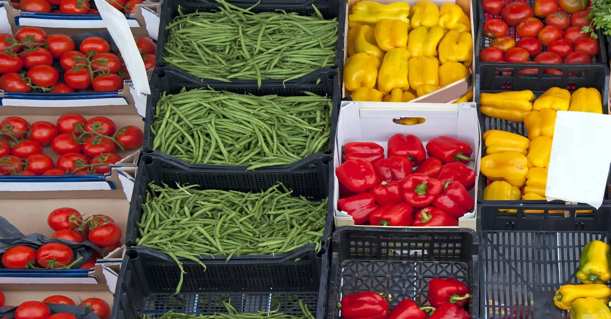 How to start a Market Garden - GIY Plants