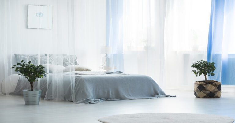 What is Indirect Light for Houseplants? - GIY Plants