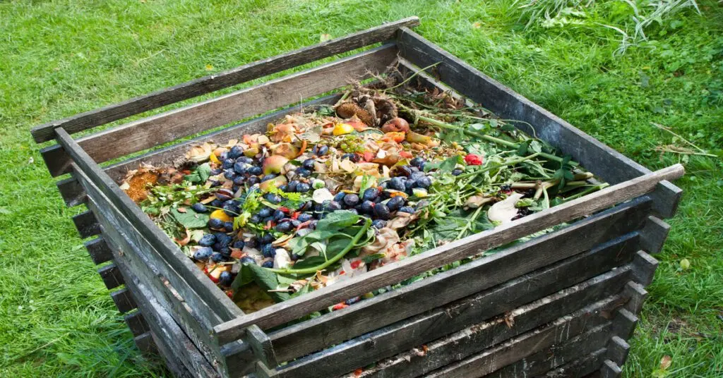 Compost vs Mulch (What's the Difference?) - GIY Plants