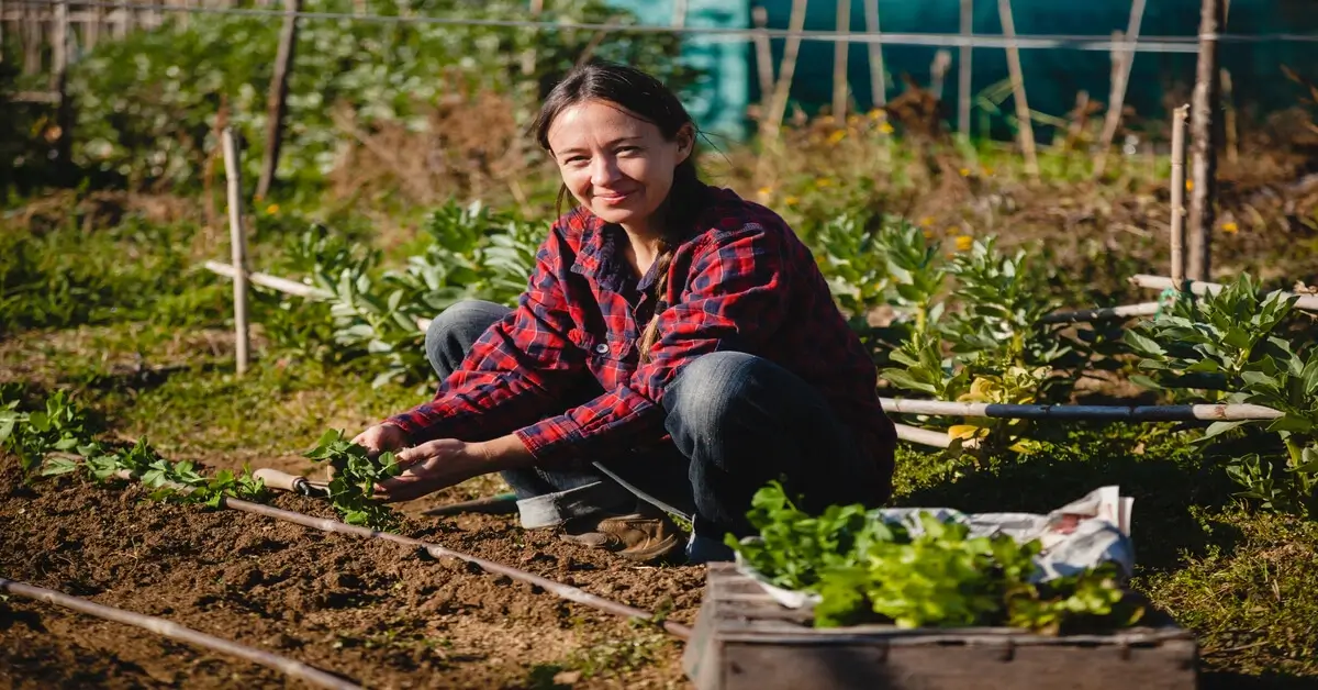 Closed Loop Gardening Explained - GIY Plants