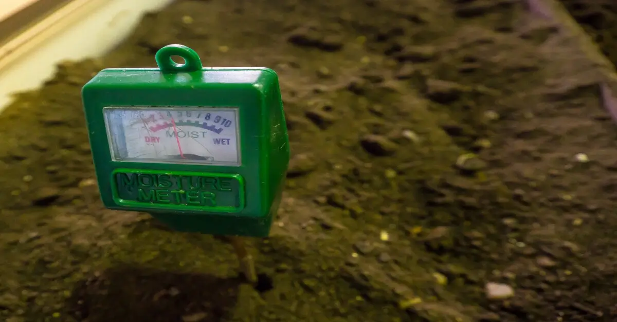 Understanding Soil Moisture for Healthy Plants -GIY Plants